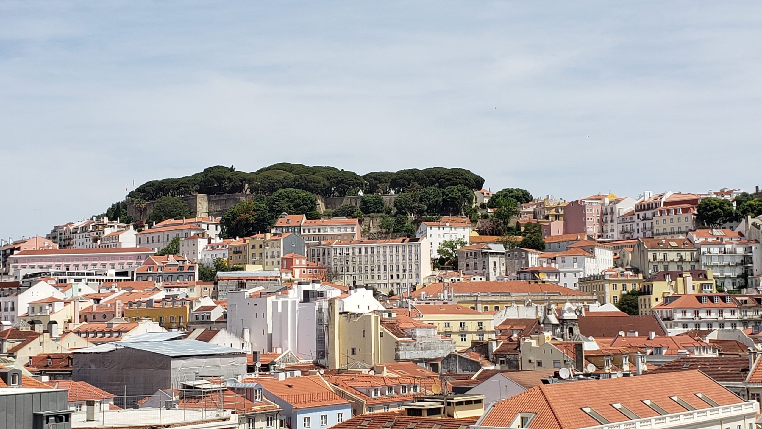 Places to Visit in Lisbon, Portugal - Motivated by Nature